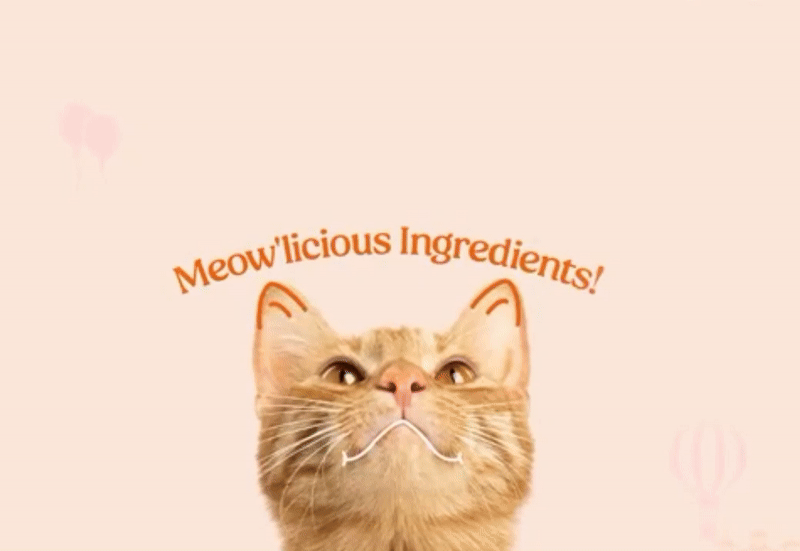 猫咪健康管理App中DeepSeek OCR的几个应用场景-阿司匹林-塔猴